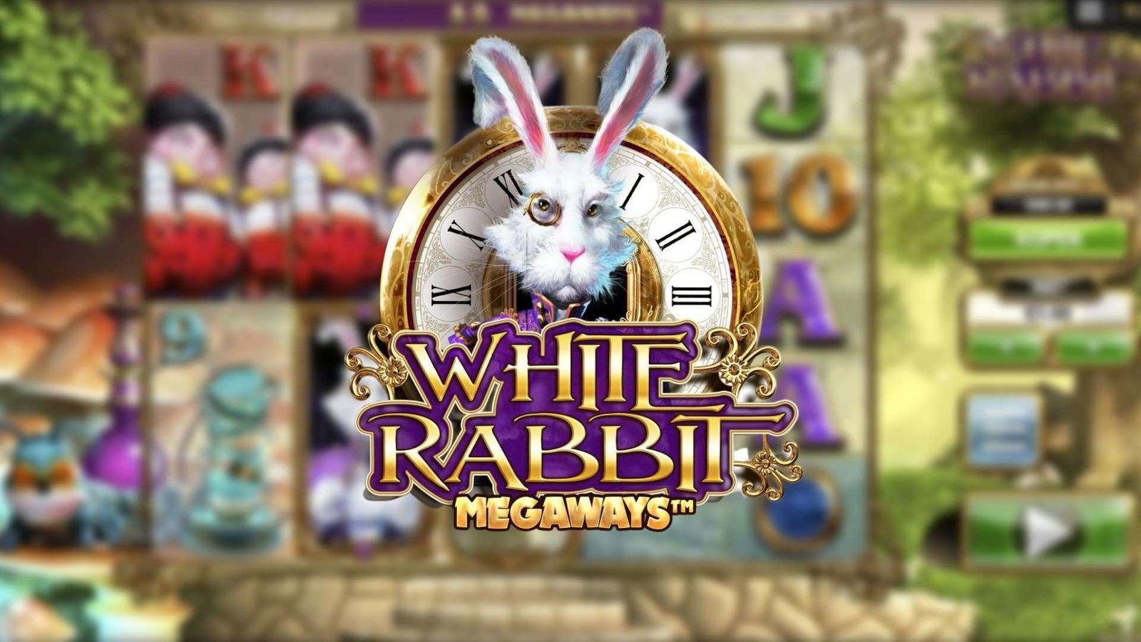 White Rabbit Megaways Online | Fantasierijk thema | DutchGamblers